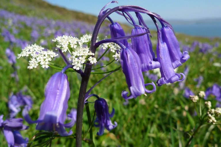 Accommodation - An Airigh